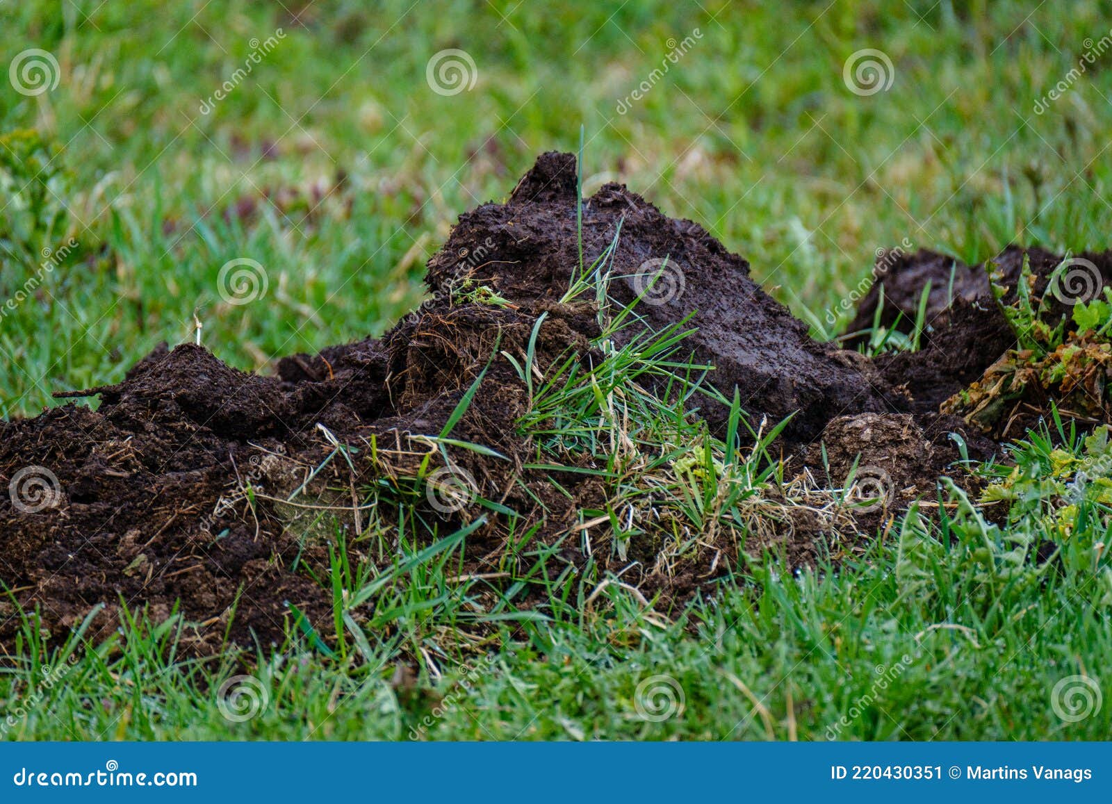 Random Garbage Junk Items Left in Nature Stock Image - Image of rock ...
