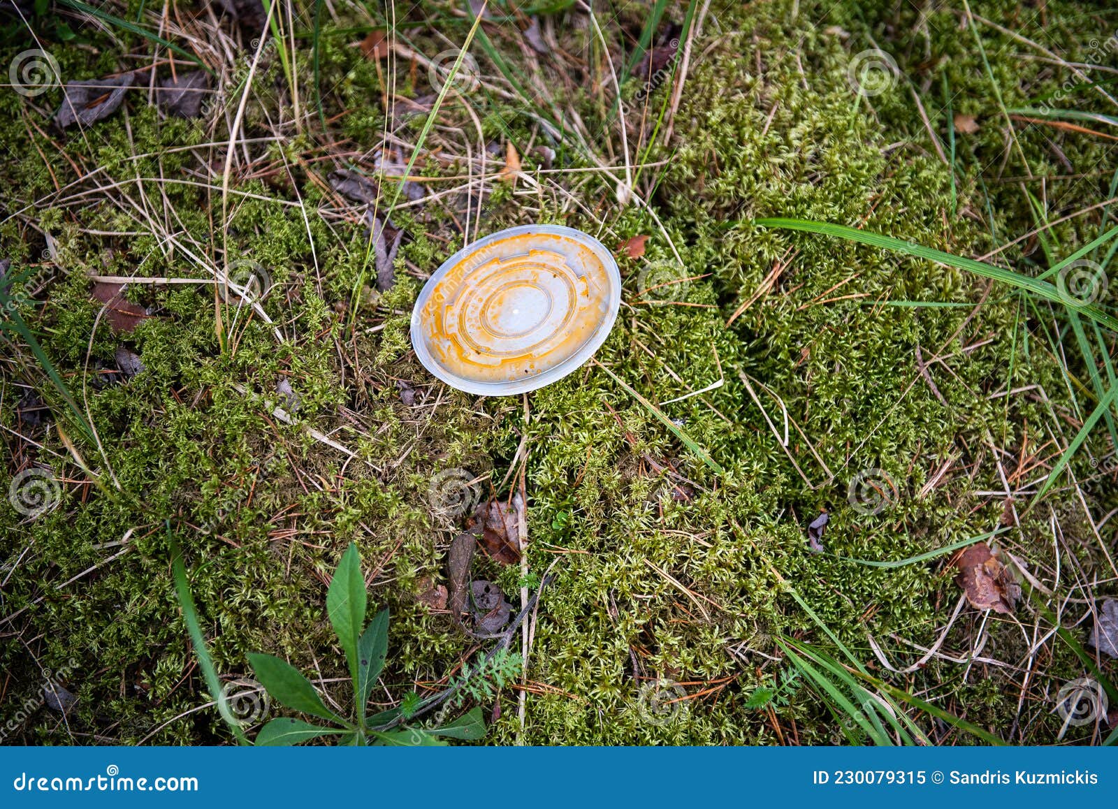 Random Garbage Junk Items Left in Nature Trails after Tourists Stock ...