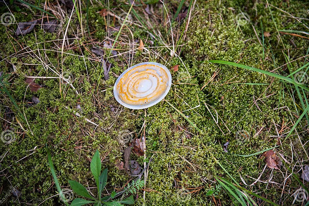 Random Garbage Junk Items Left in Nature Trails after Tourists Stock ...