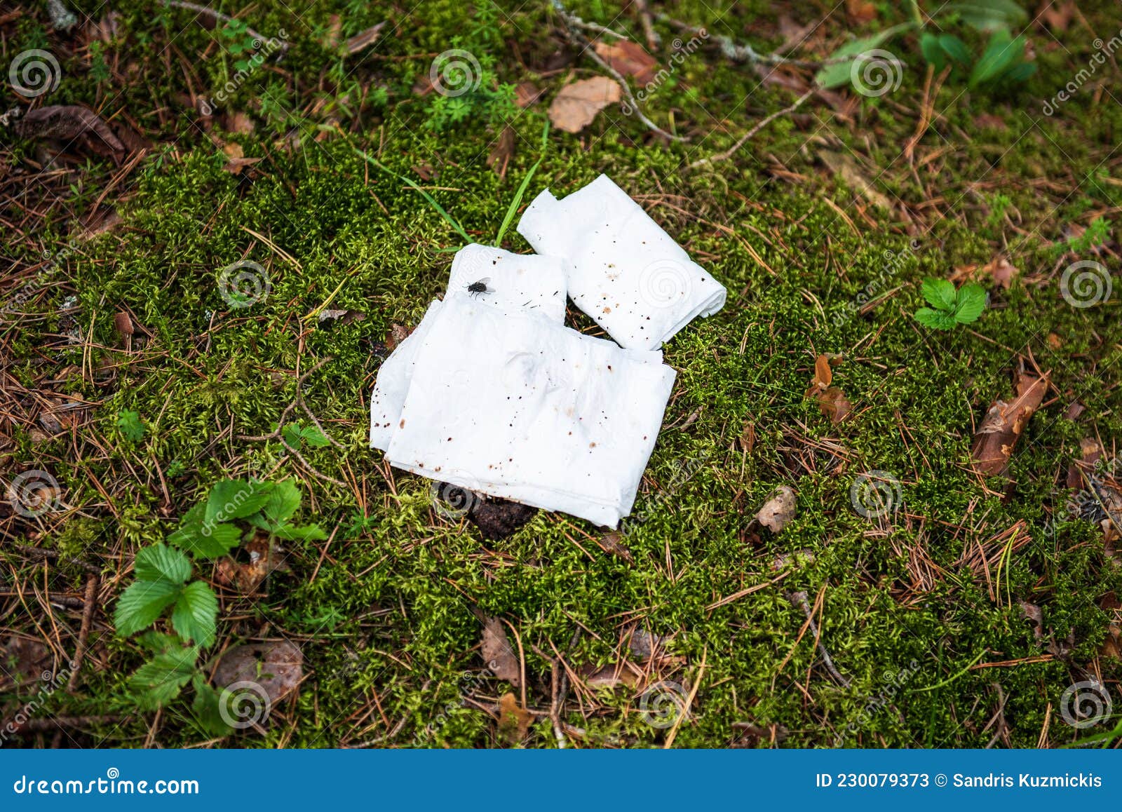 Random Garbage Junk Items Left in Nature Trails after Tourists Stock ...