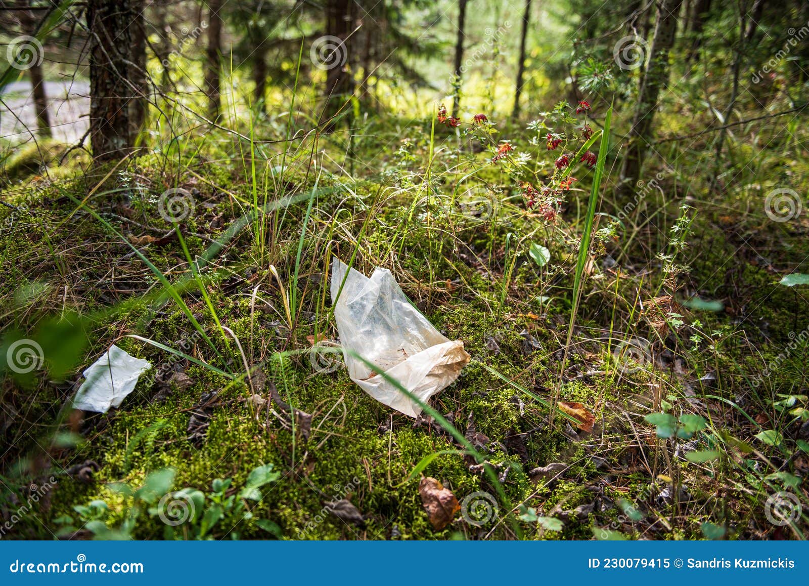 Random Garbage Junk Items Left in Nature Trails after Tourists Stock ...