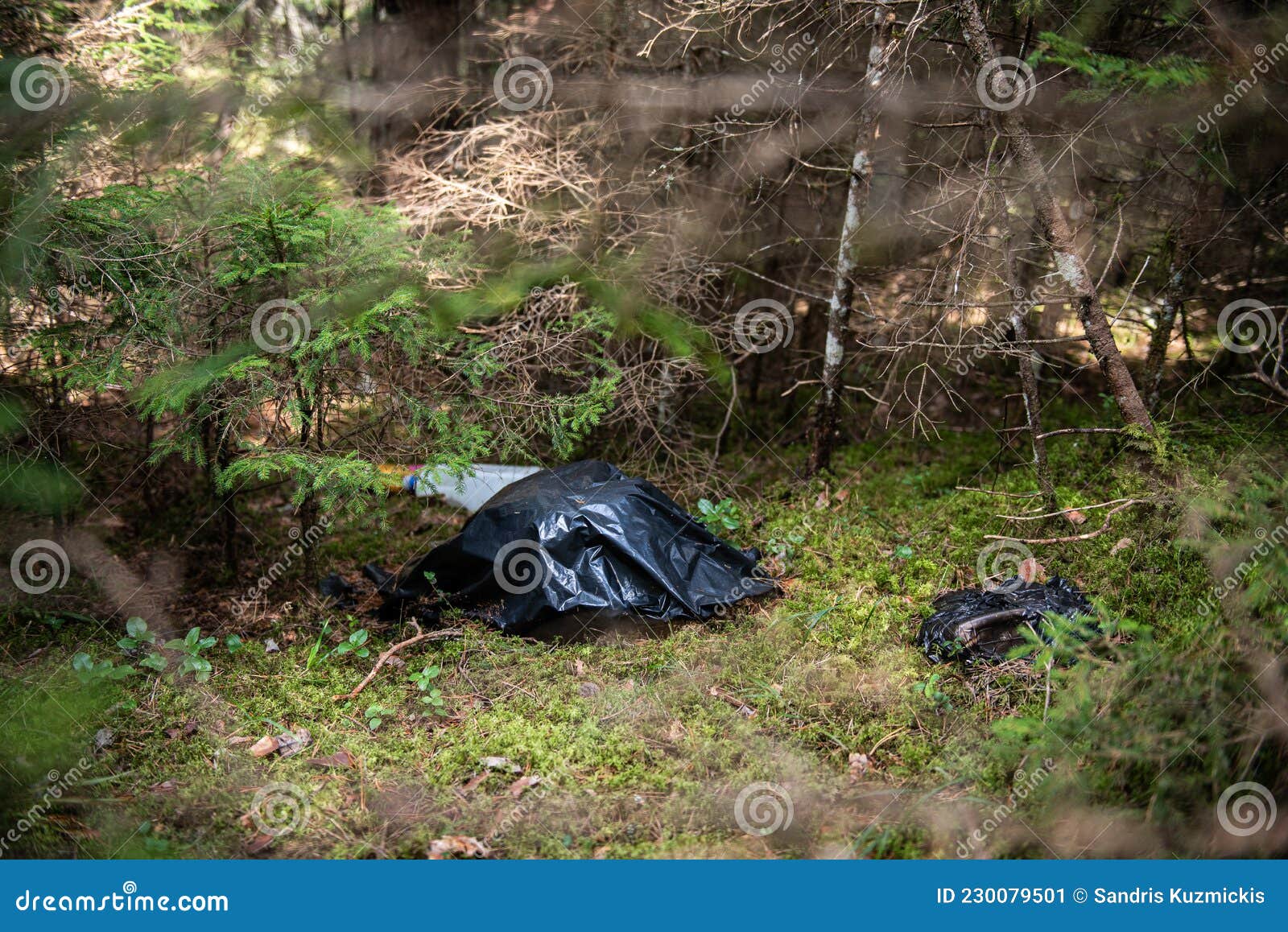 Random Garbage Junk Items Left in Nature Trails after Tourists Stock ...