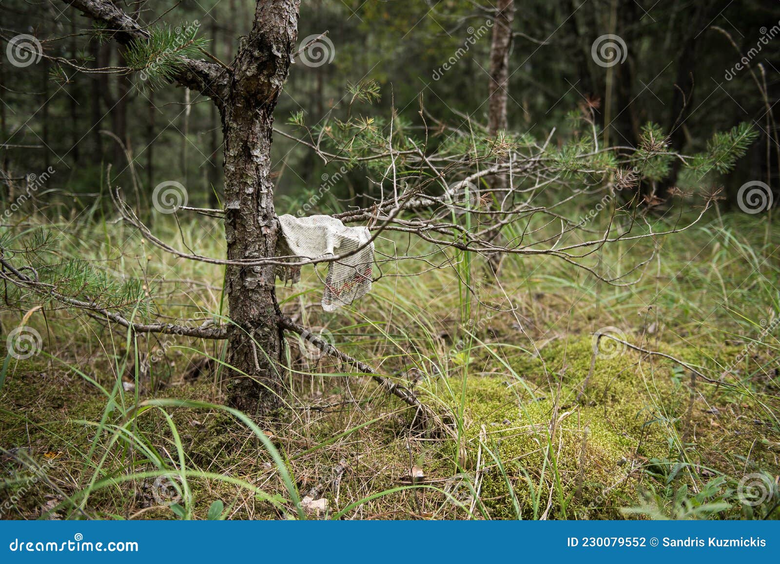 Random Garbage Junk Items Left in Nature Trails after Tourists Stock ...