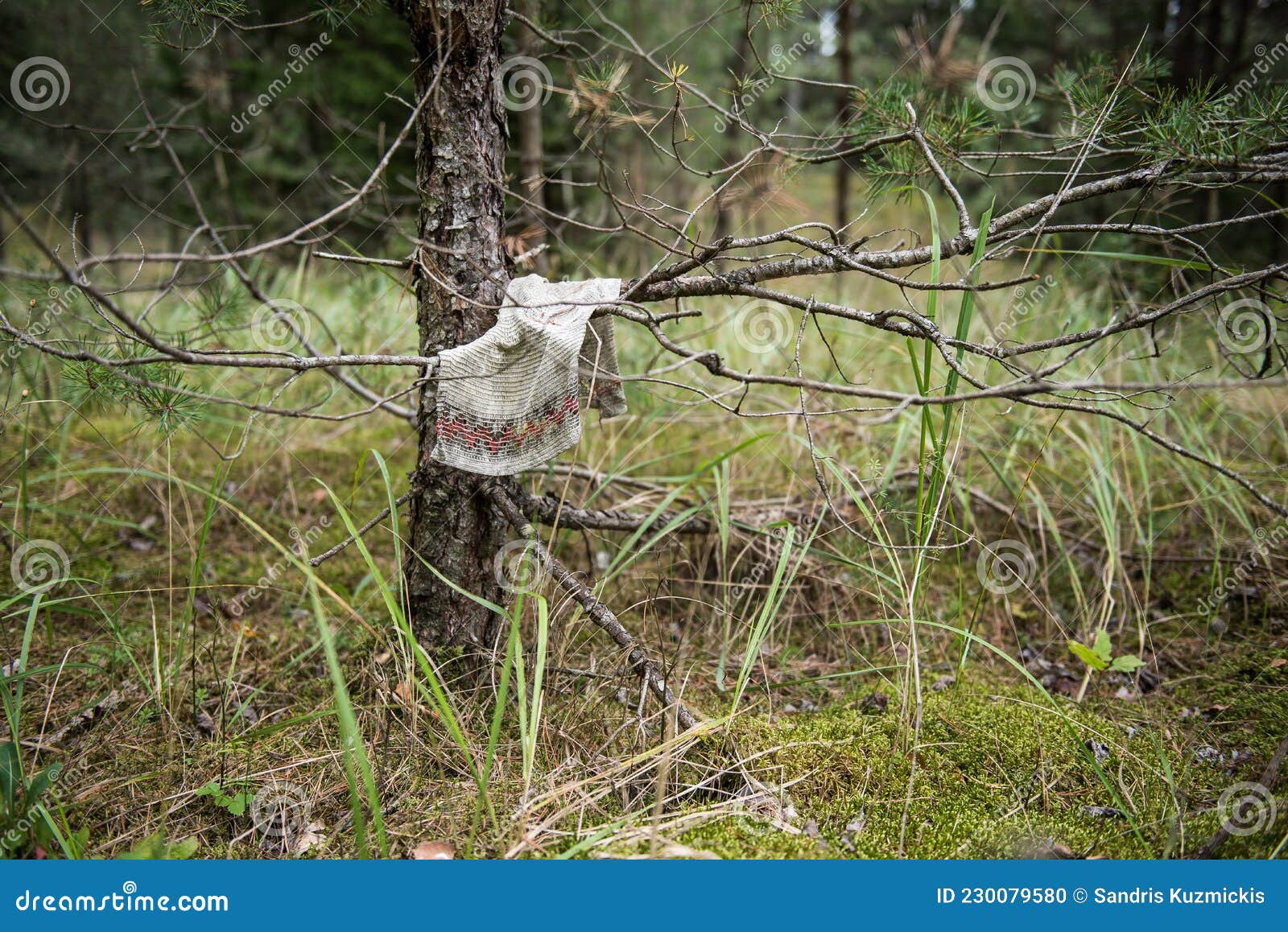 Random Garbage Junk Items Left in Nature Trails after Tourists Stock ...