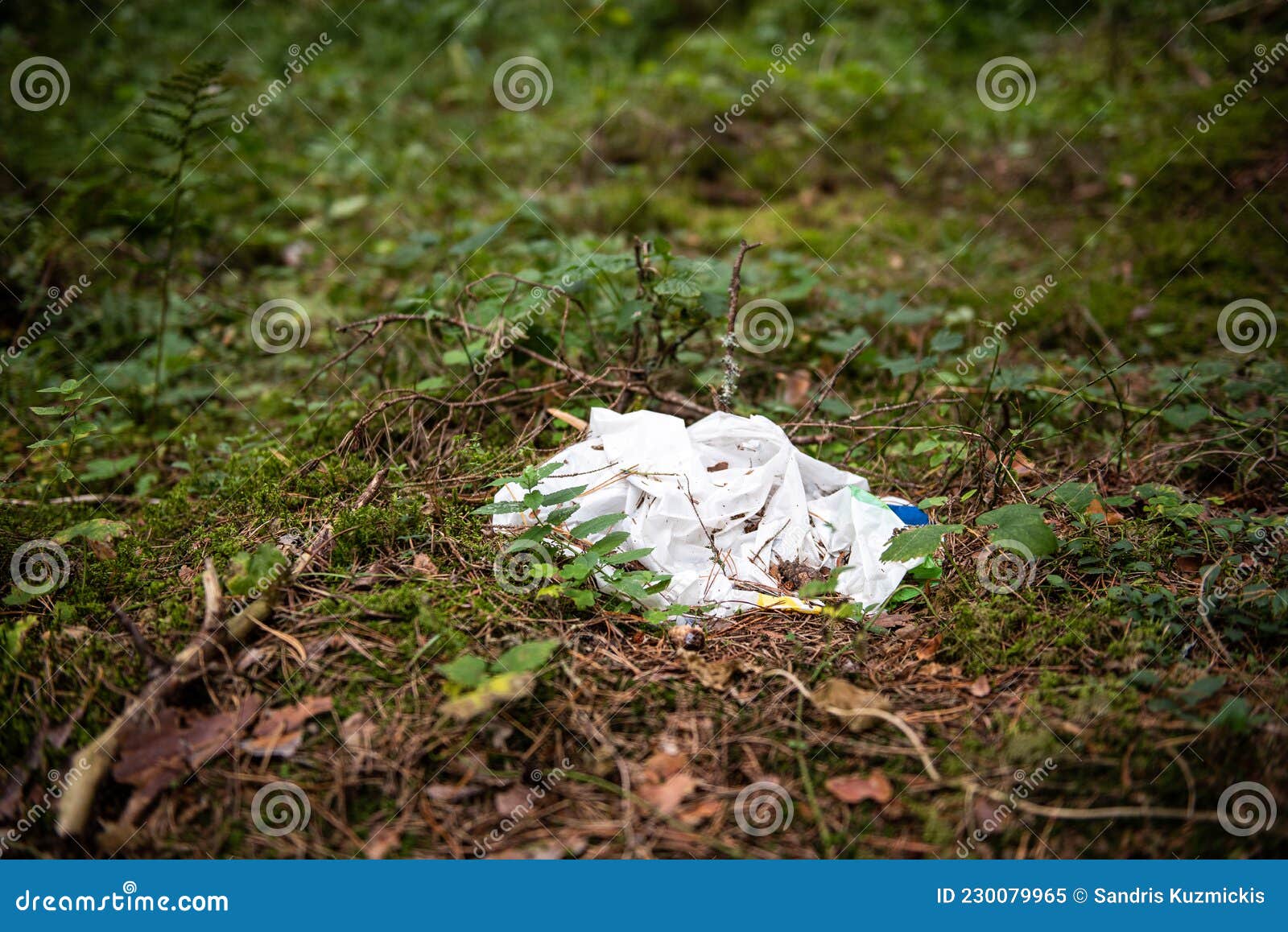 Random Garbage Junk Items Left in Nature Trails after Tourists Stock ...