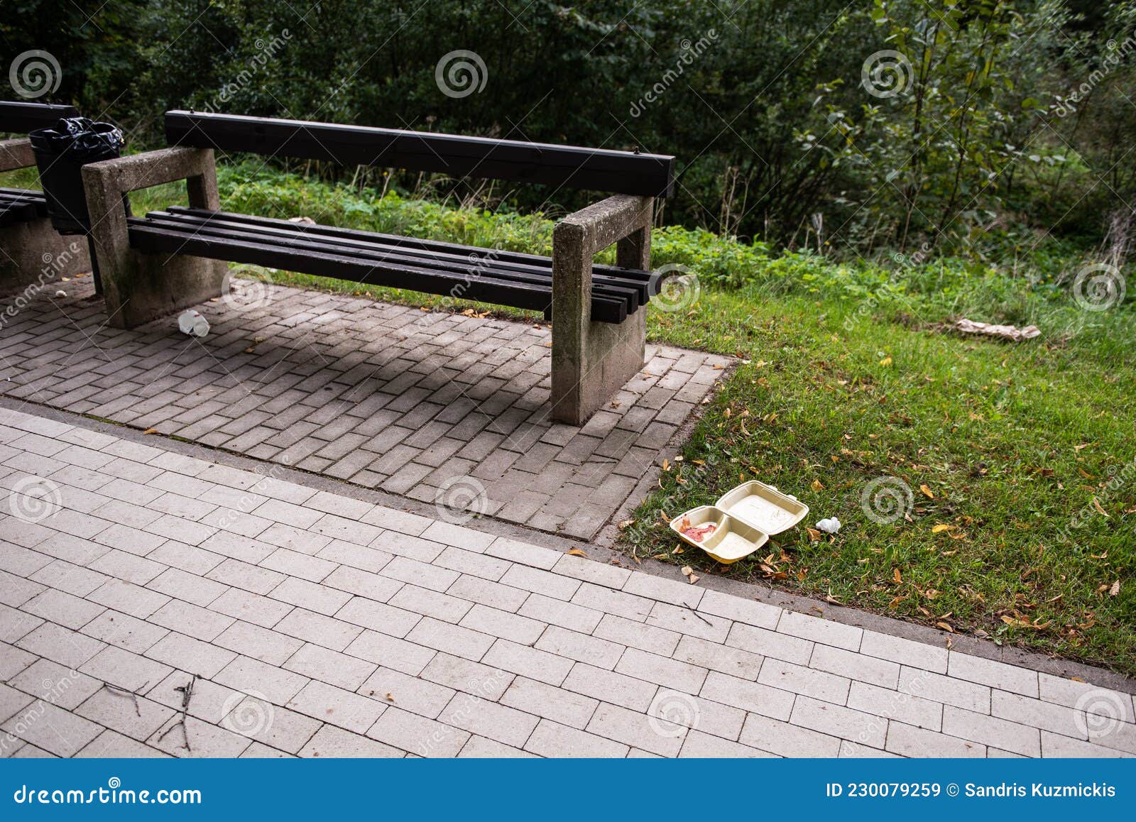 Random Garbage Junk Items Left in Park. Disposable Food Container Stock ...