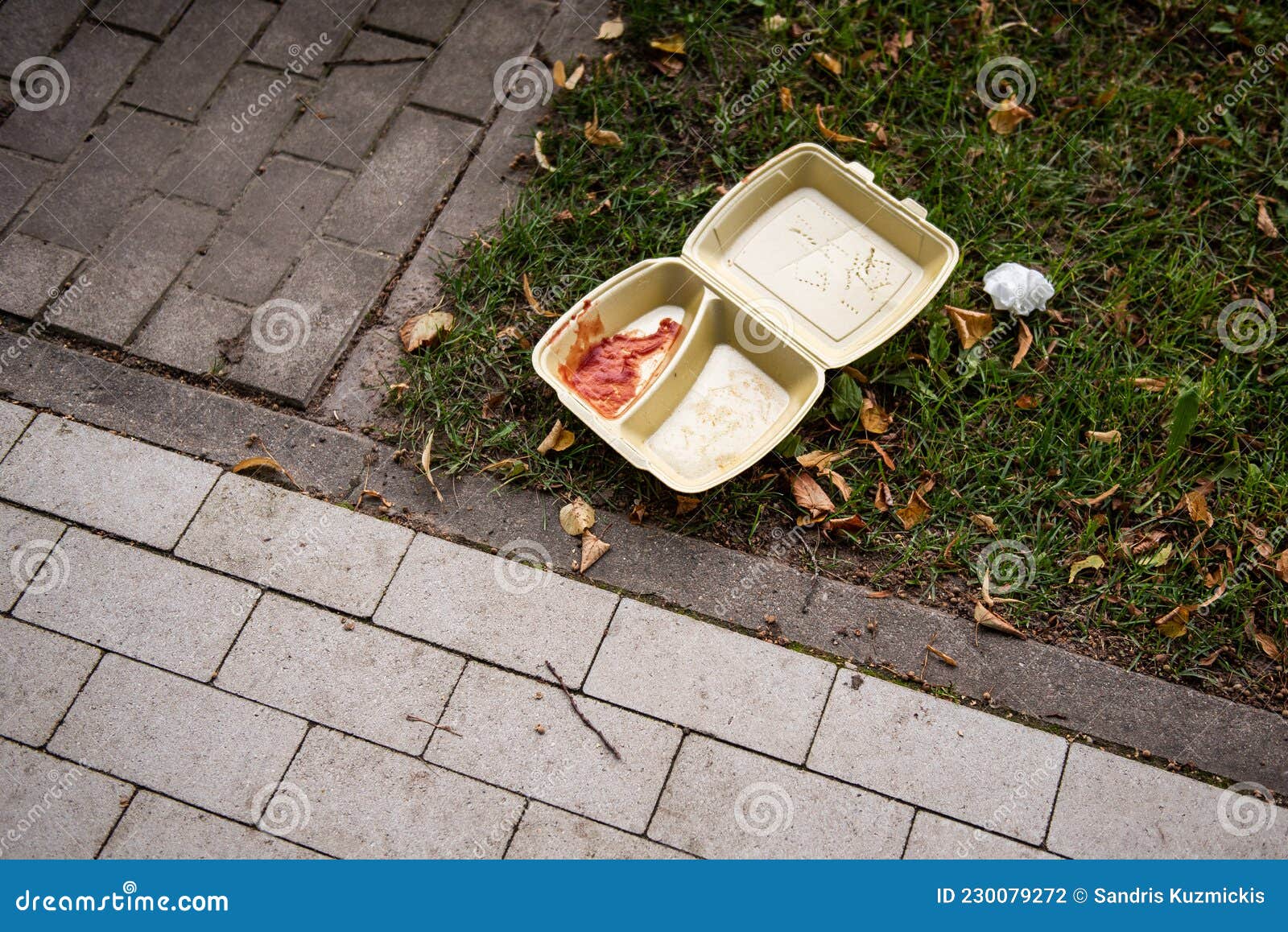 Random Garbage Junk Items Left in Park. Disposable Food Container Stock ...