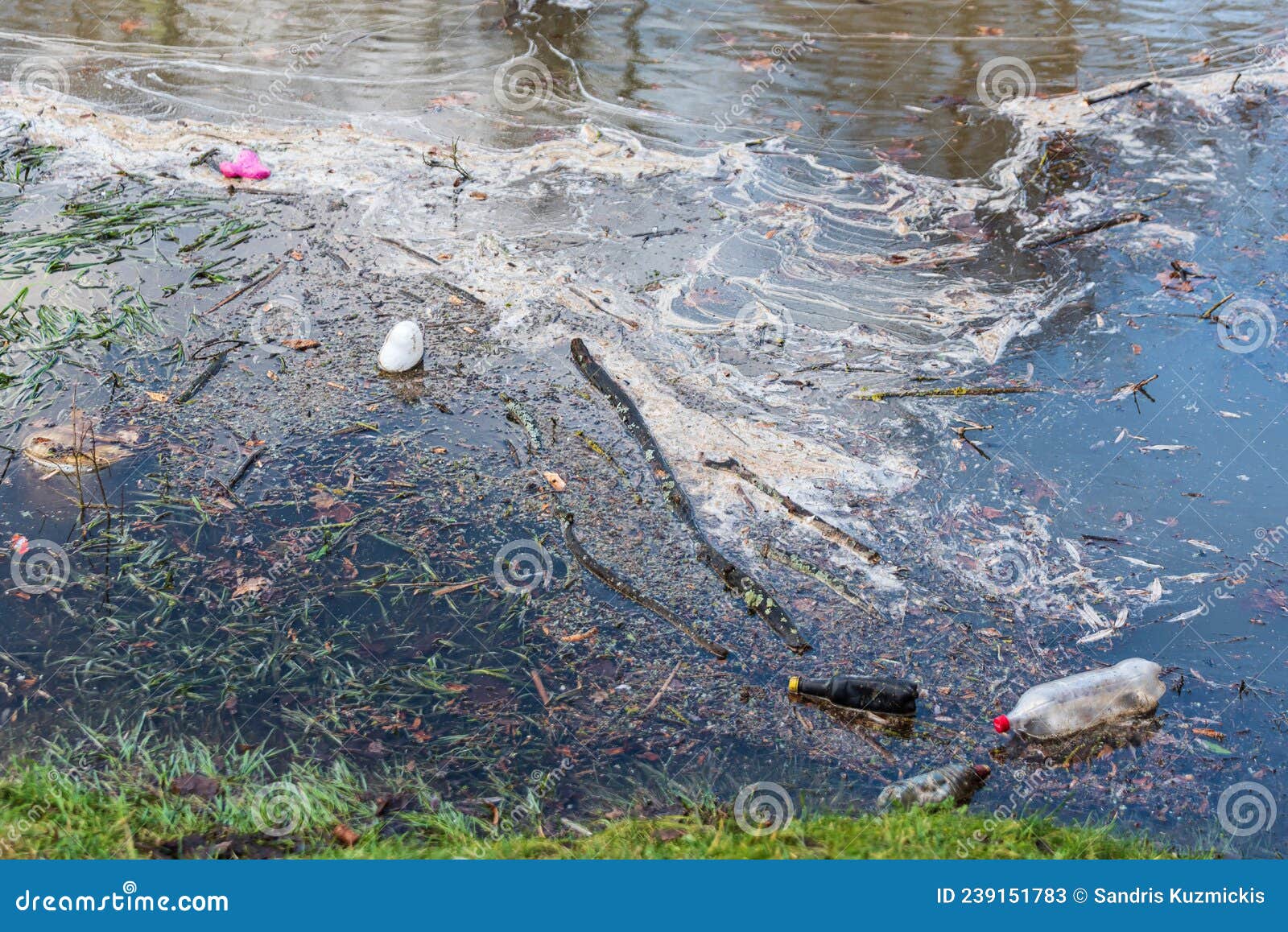 Random Garbage Junk Items Left in Water Stock Image - Image of bottle ...