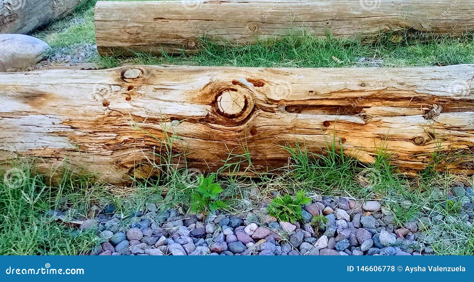 Random logs stock photo. Image of logs, random, nature - 146606778