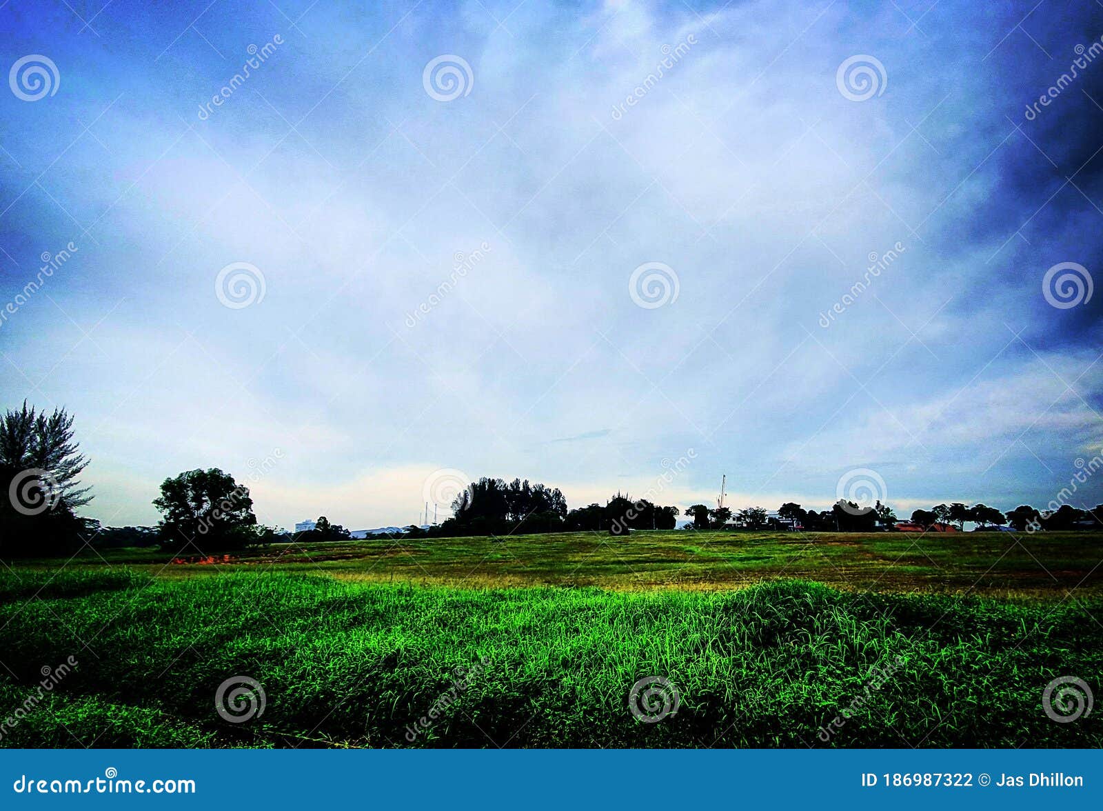 Random nature shot stock photo. Image of field, shot - 186987322