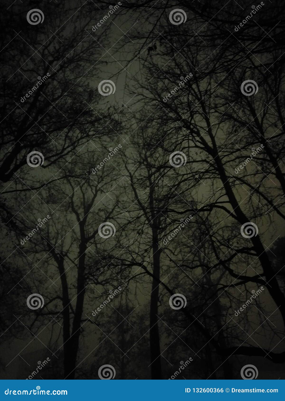 Random Night Pics, Nightstreets Editorial Photo - Image of nightstreets ...