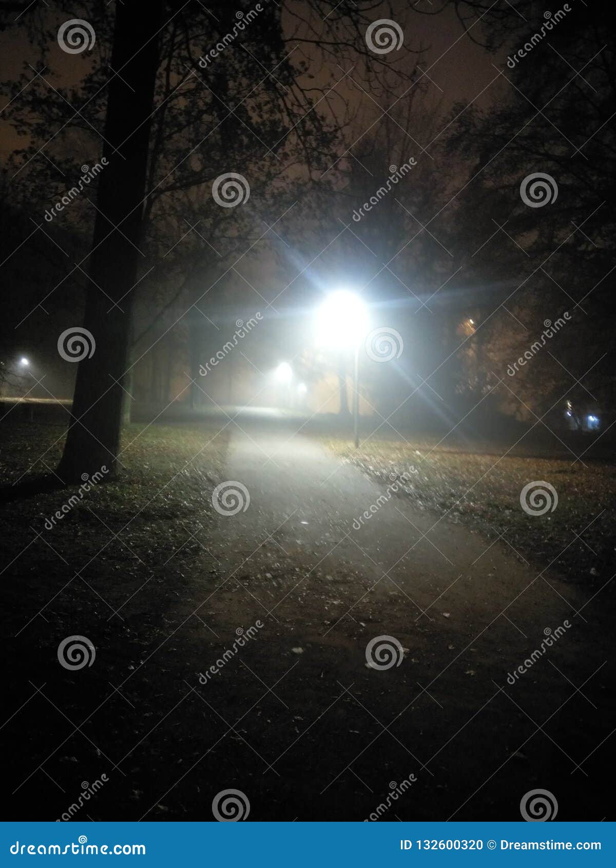 Random night pics editorial image. Image of night, walking - 132600320