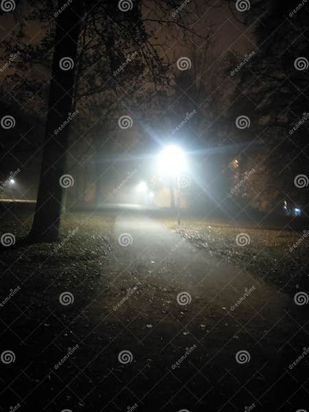 Random night pics editorial image. Image of night, walking - 132600320