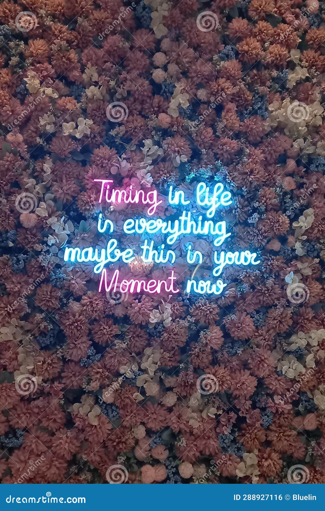 Embracing Opportune Moments: the Power of Perfect Timing Stock Photo ...