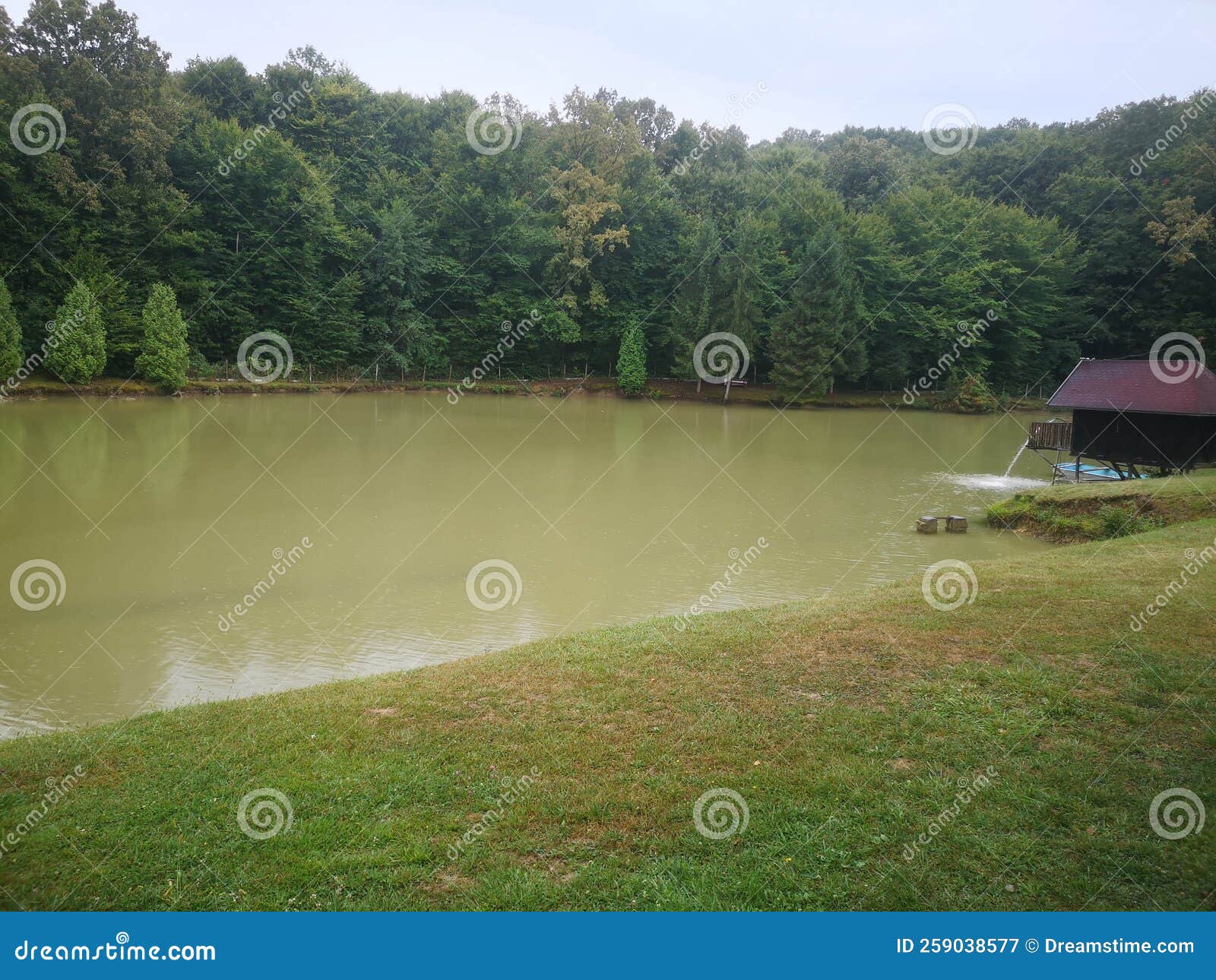 Random picture of nature stock image. Image of nature - 259038577