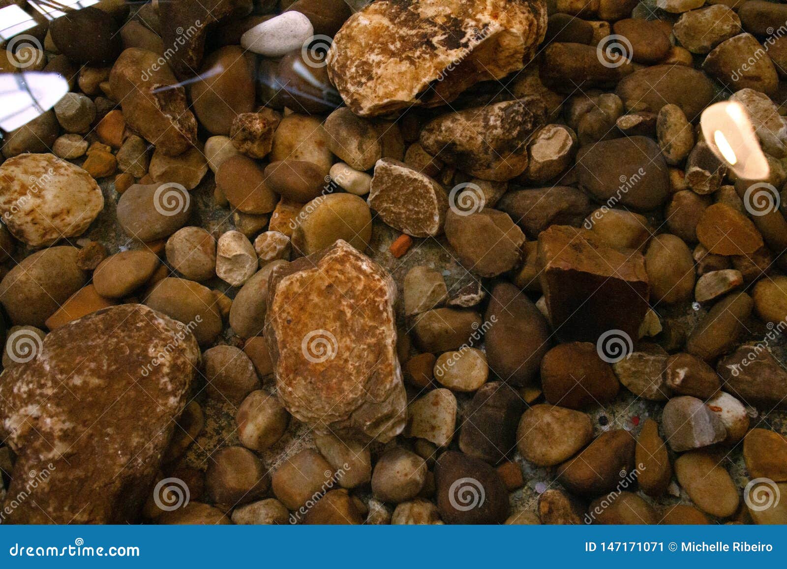 Random rocks stock image. Image of water, random, rocks - 147171071