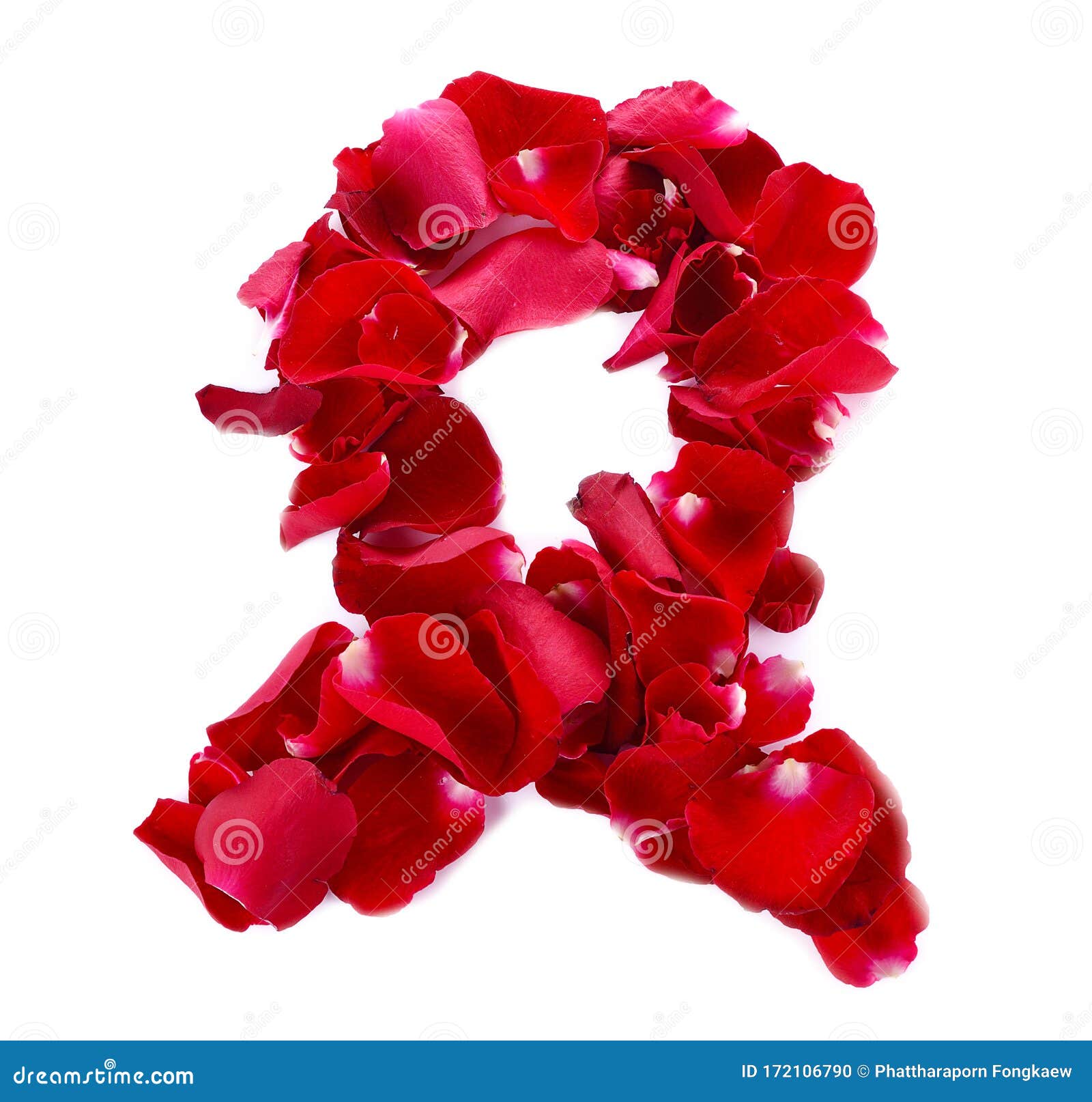 Random Rose Petals Against White Background. Great for Presentations ...