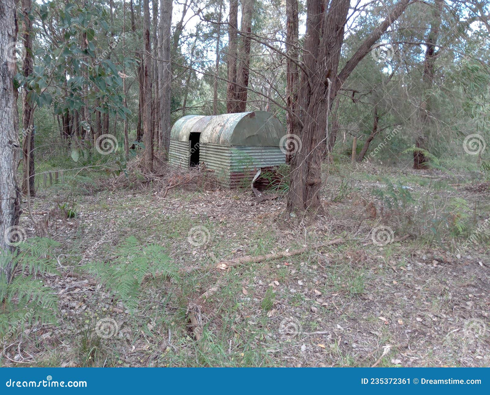 Random shed in bush stock image. Image of wetland, meadow - 235372361