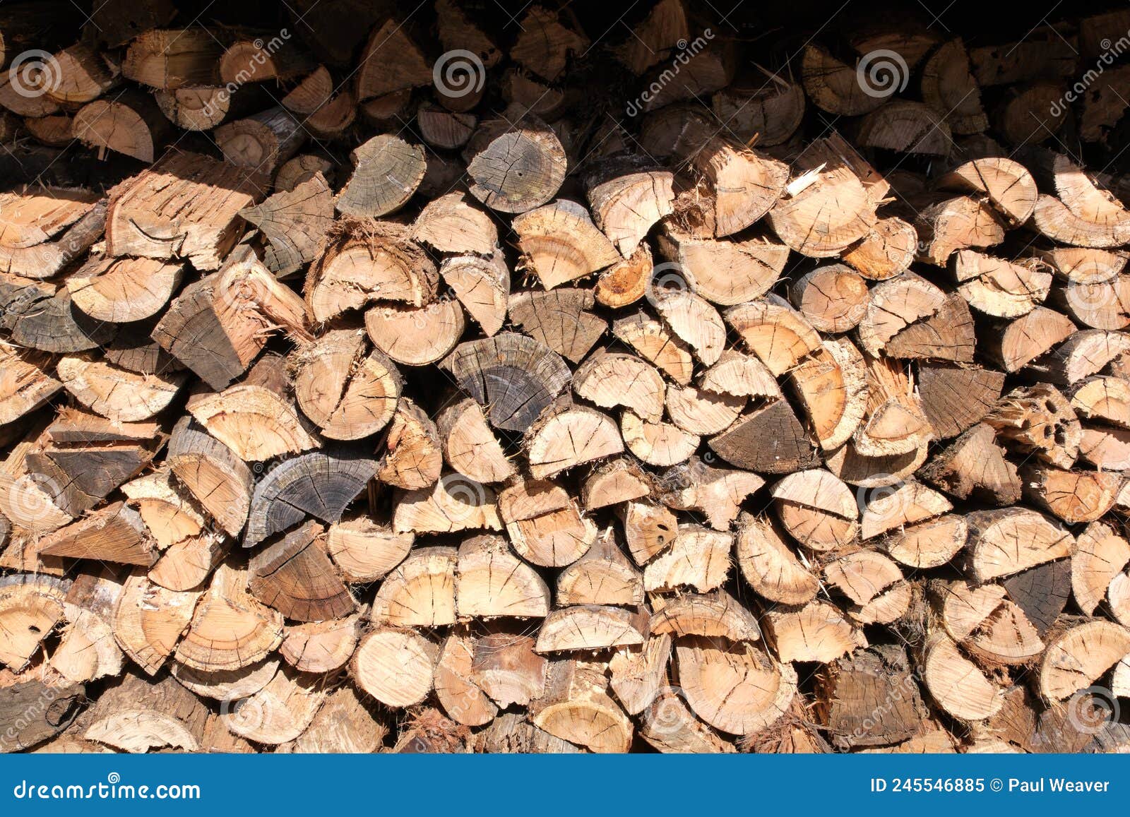 Random Split Logs in a Wood Pile Stock Image - Image of flooring, wood ...
