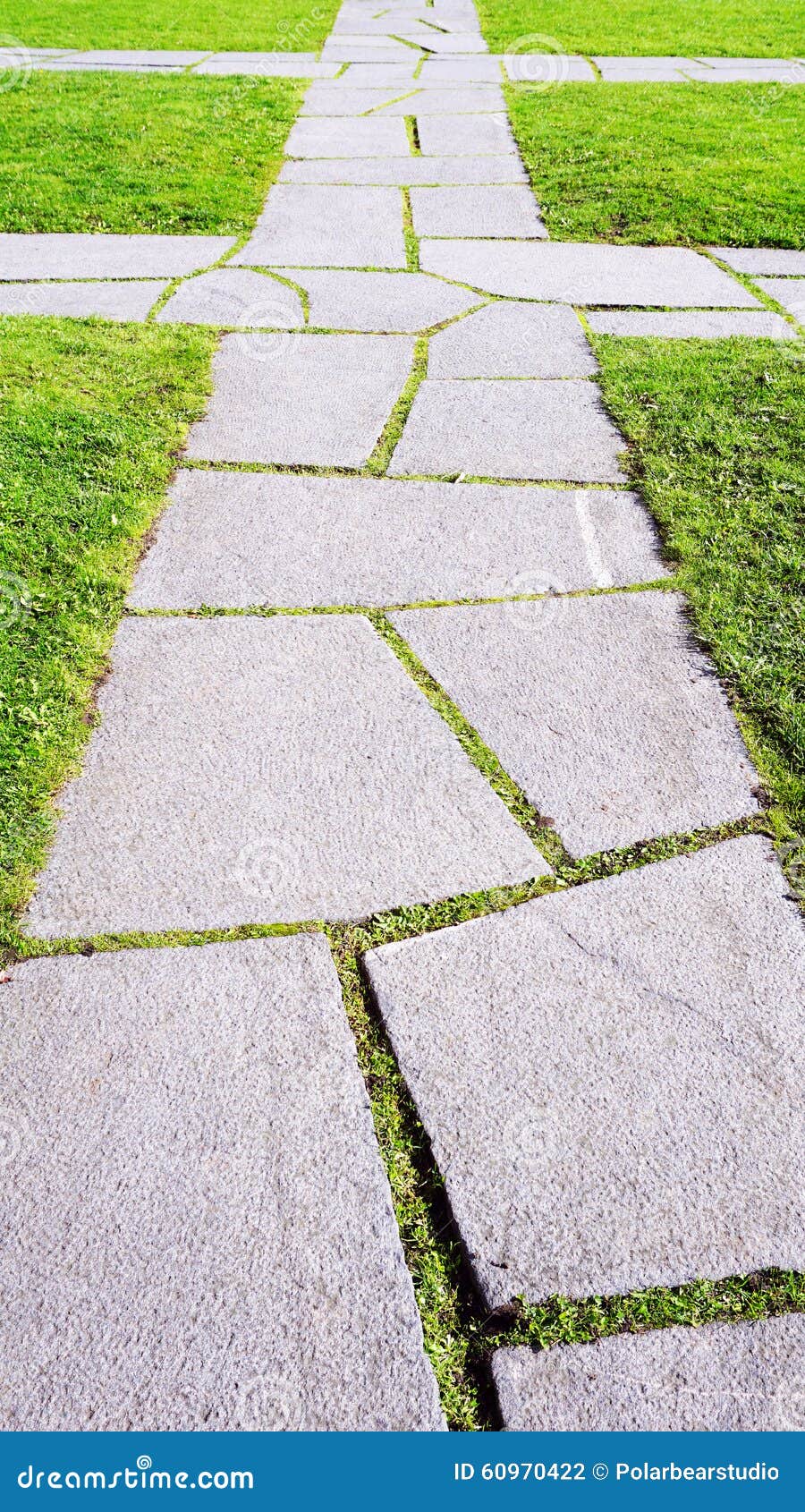 Random Stone pathway stock photo. Image of field, local - 60970422