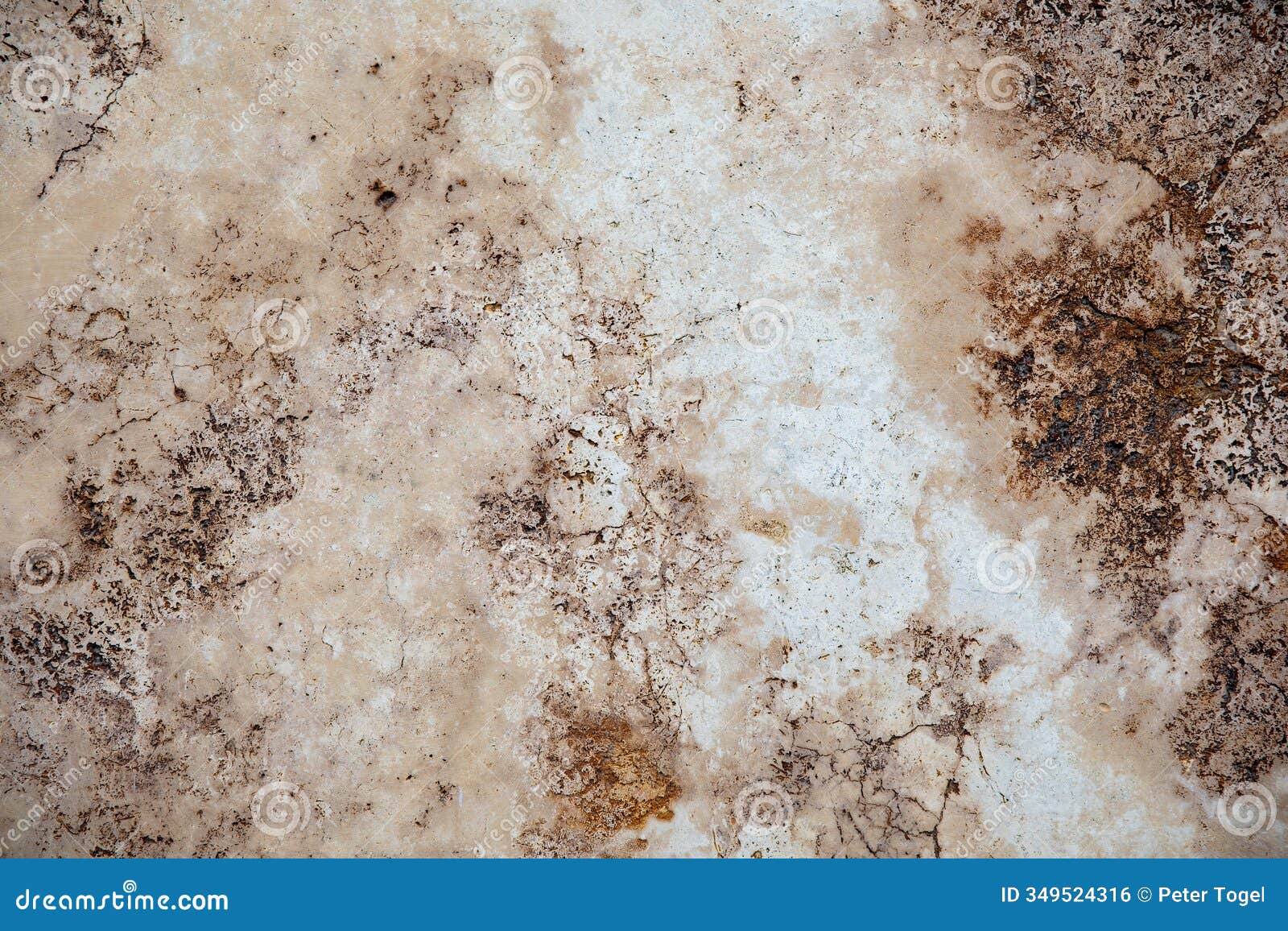 Limestone Background Stock Image | CartoonDealer.com #33591523