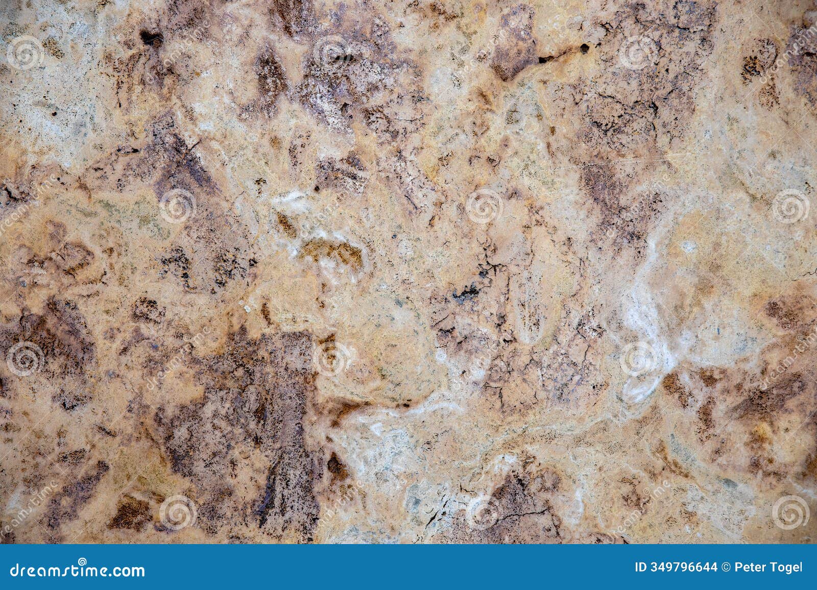 Travertine Texture Stock Photography | CartoonDealer.com #5848376