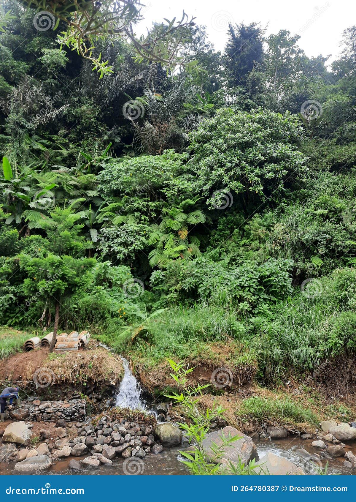 Random view outdoor stock image. Image of view, branch - 264780387