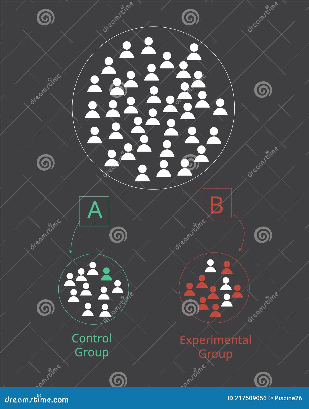 Randomized Control Group and Experimental Group in Experimentation ...