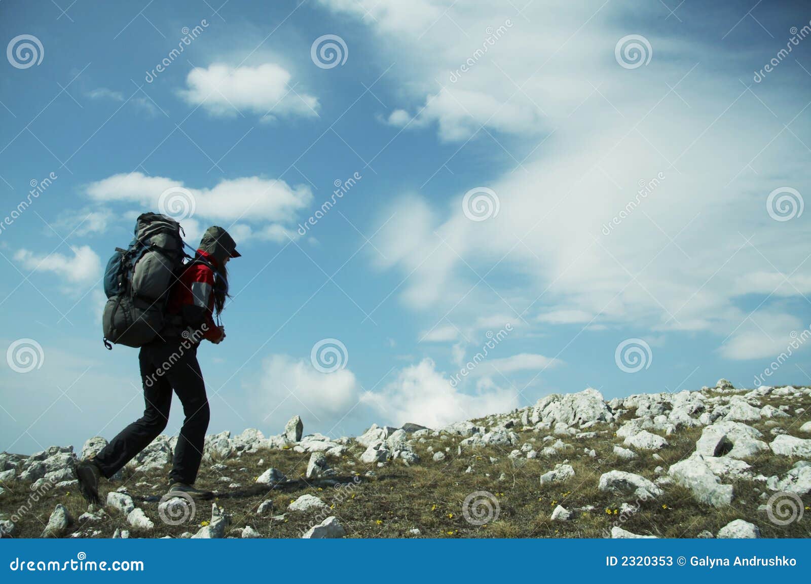 Randonneur image stock. Image du activité, sain, femelle - 2320353