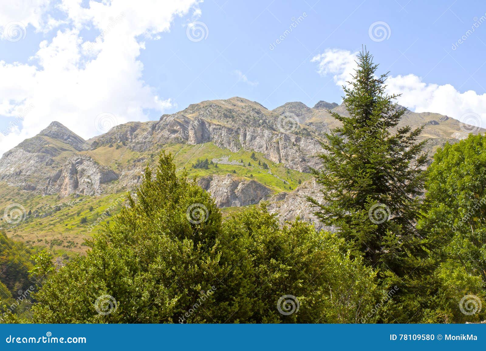 Range Mountain Behind Some Pine Trees in the Pyrenees Stock Photo ...