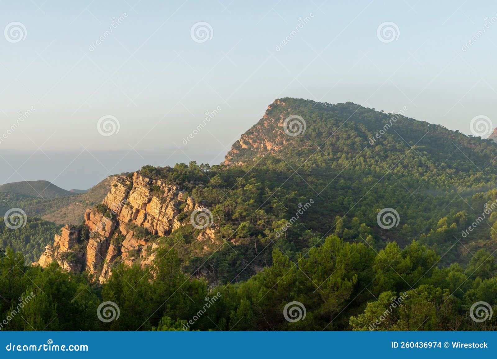 Range of Mountains Covered in Forests with a Blue Sky in the Background ...