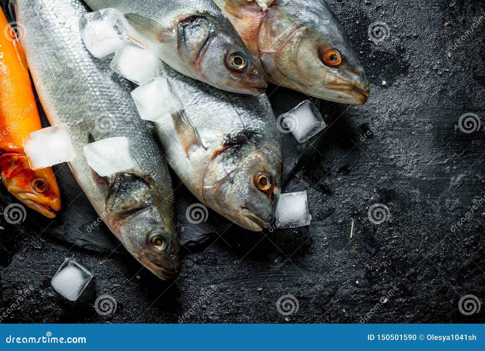 Range of Raw Fish with Ice Cubes Stock Photo - Image of seabass ...