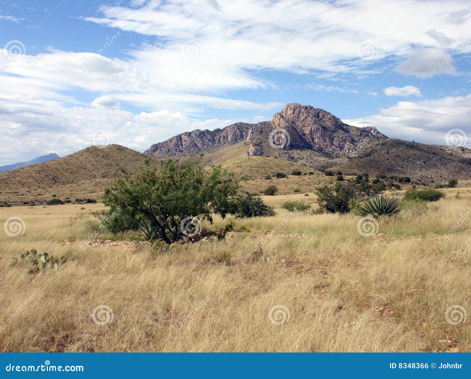 Rangeland 001 de Arizona foto de archivo. Imagen de abierto - 8348366