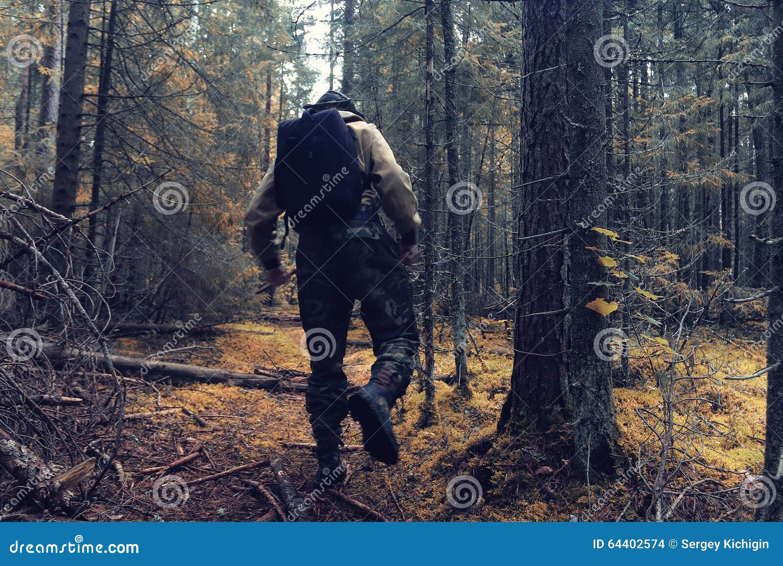 Ranger in autumn forest stock photo. Image of beard, male - 64402574