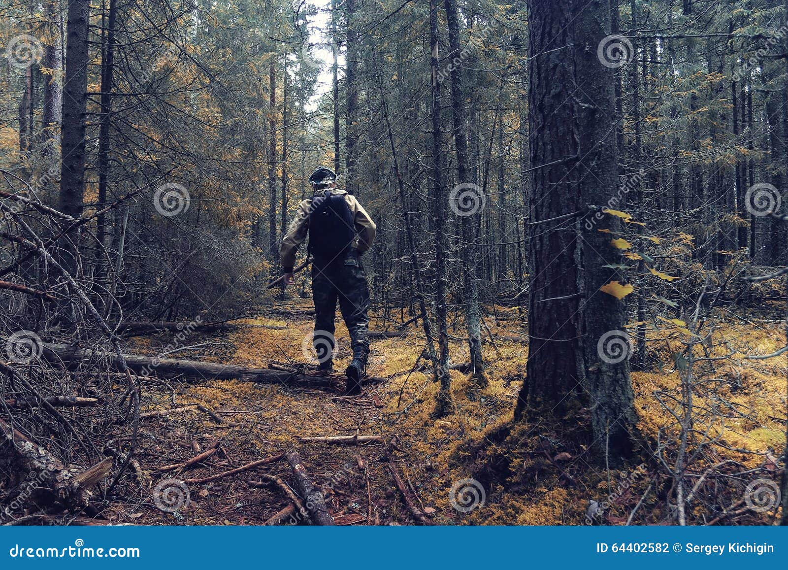 Ranger in autumn forest stock photo. Image of hunter - 64402582
