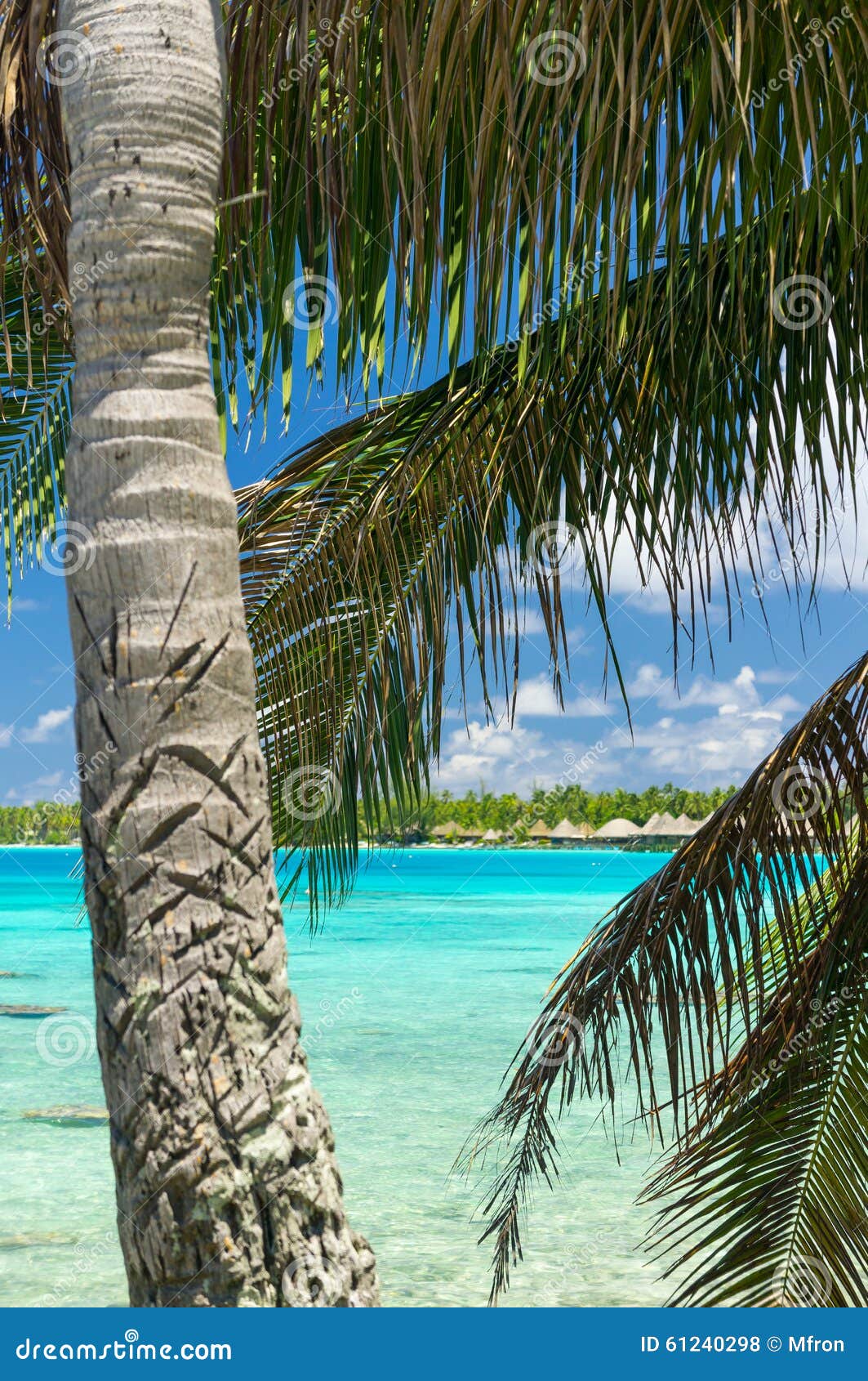 Rangiroa Atoll, French Polynesia Stock Photo - Image of pacific ...