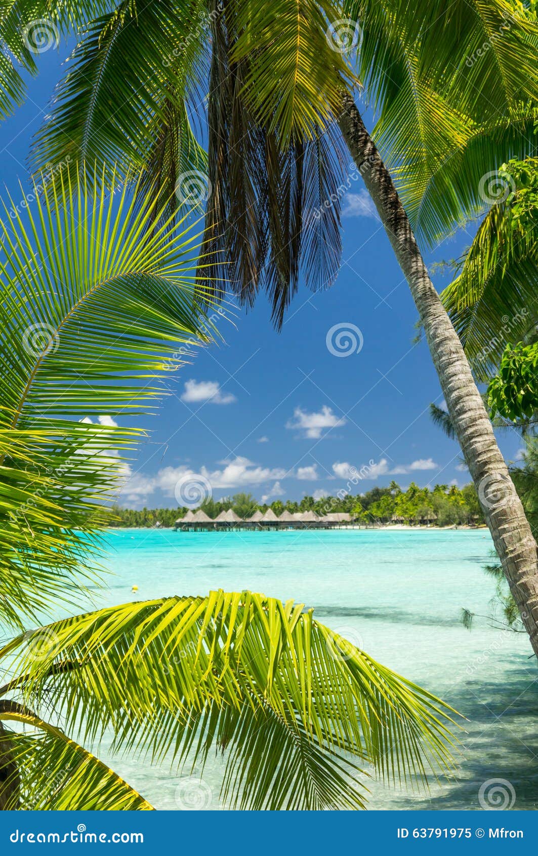 Rangiroa Atoll, French Polynesia Stock Image - Image of lagoon ...