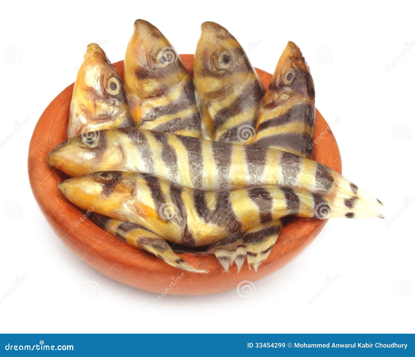 Rani Fish of Indian Subcontinent Stock Image - Image of festival ...