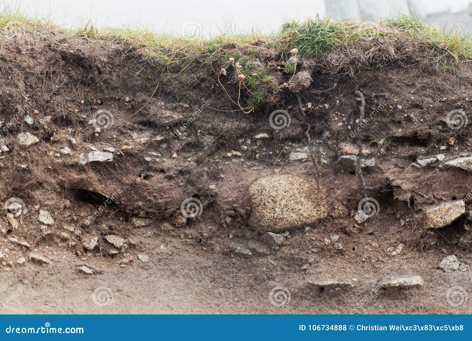 Ranker Soil with Large Granite Fragments Stock Photo - Image of ...