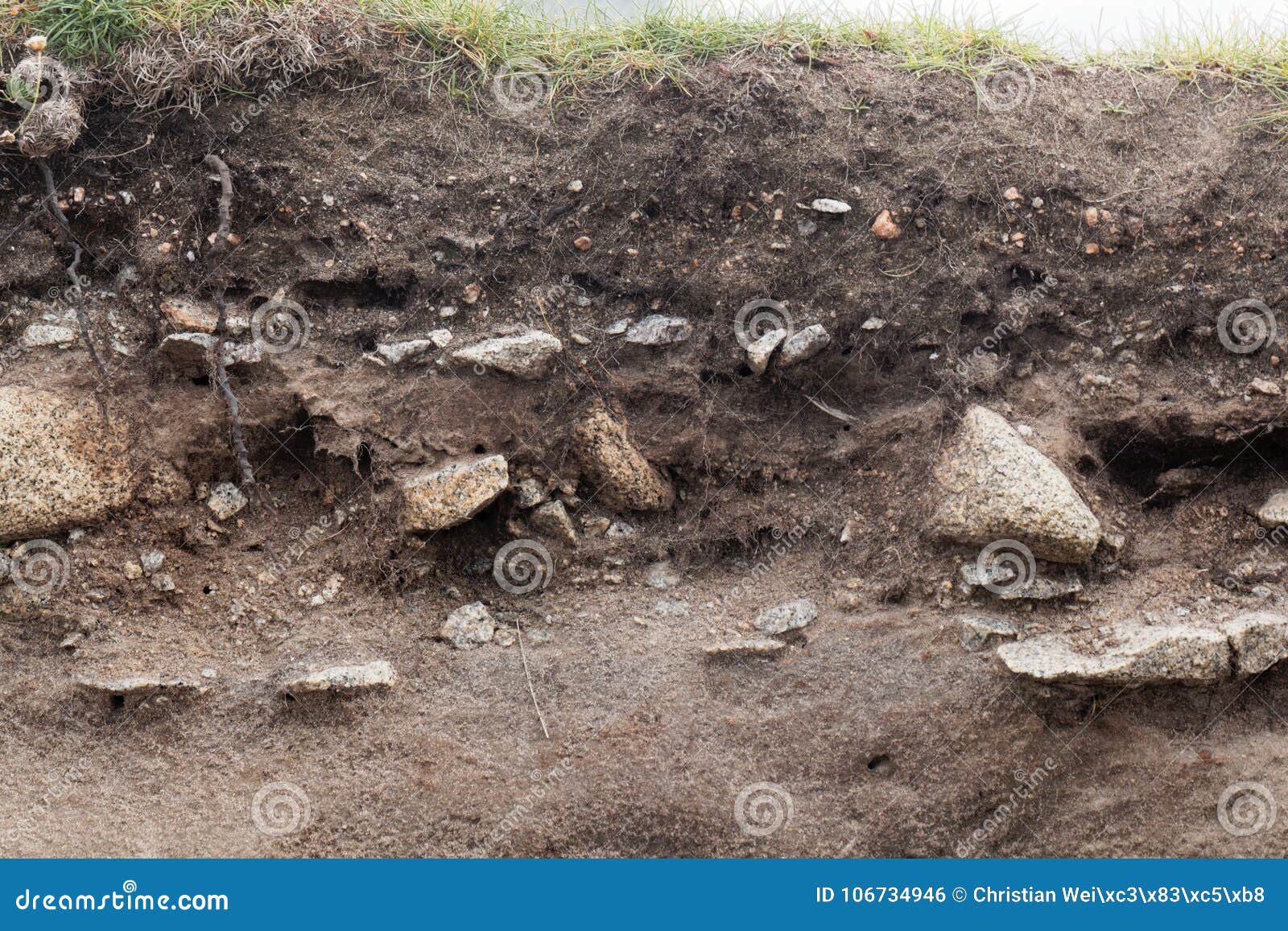 Ranker Soil with Large Granite Fragments Stock Photo - Image of dirt ...