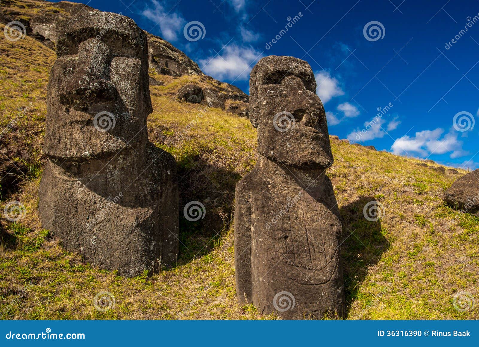 Rano Raraku photo stock. Image du île, placer, pictographe - 36316390