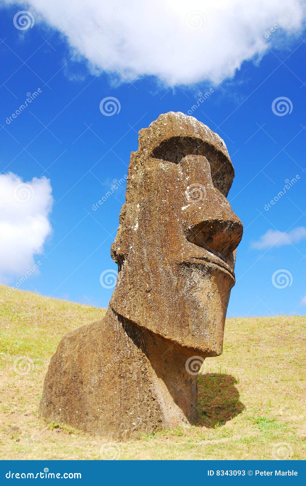 Rano Raraku moai stock image. Image of easter, park, rapanui - 8343093