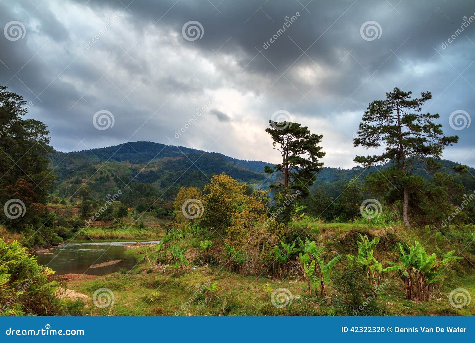 Ranomafana stock photo. Image of madagascar, national - 42322320