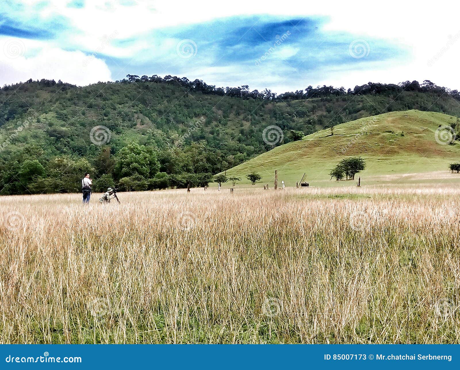 Ranong editorial stock photo. Image of mountian, sawana - 85007173