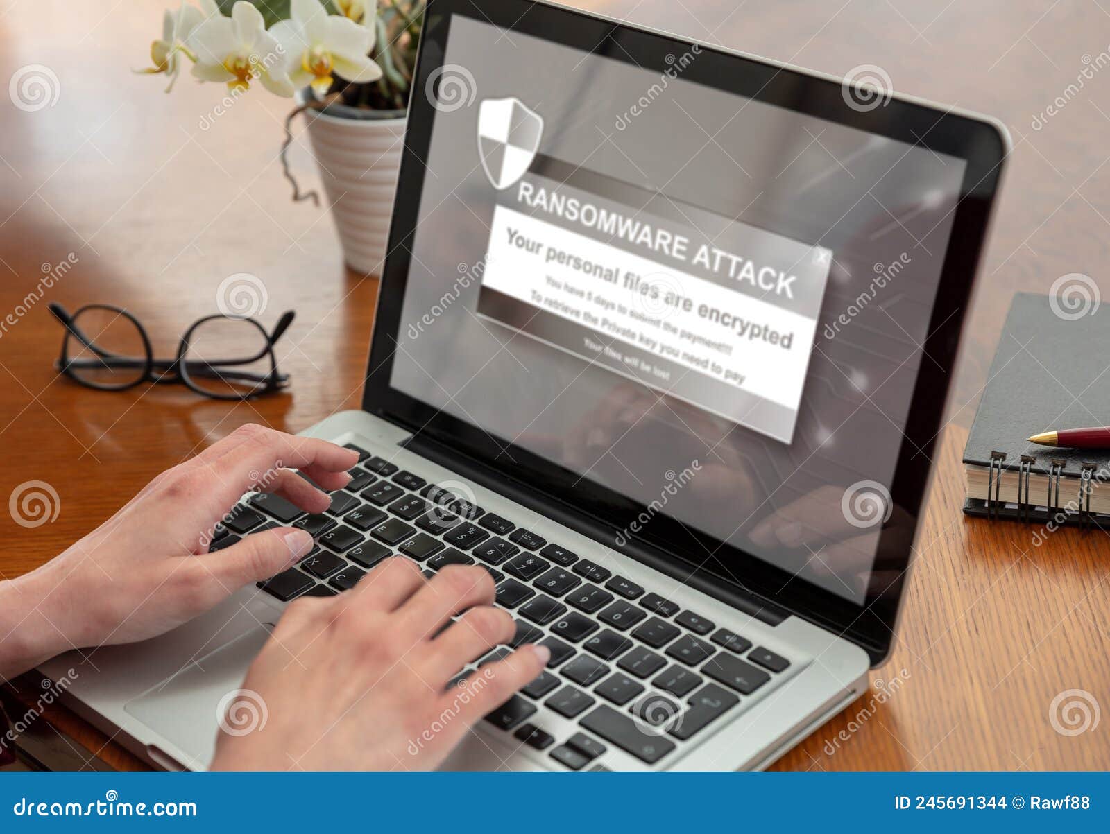 Ransom Ware, Cyber Attack. Warning Message on a Computer Screen. Woman ...