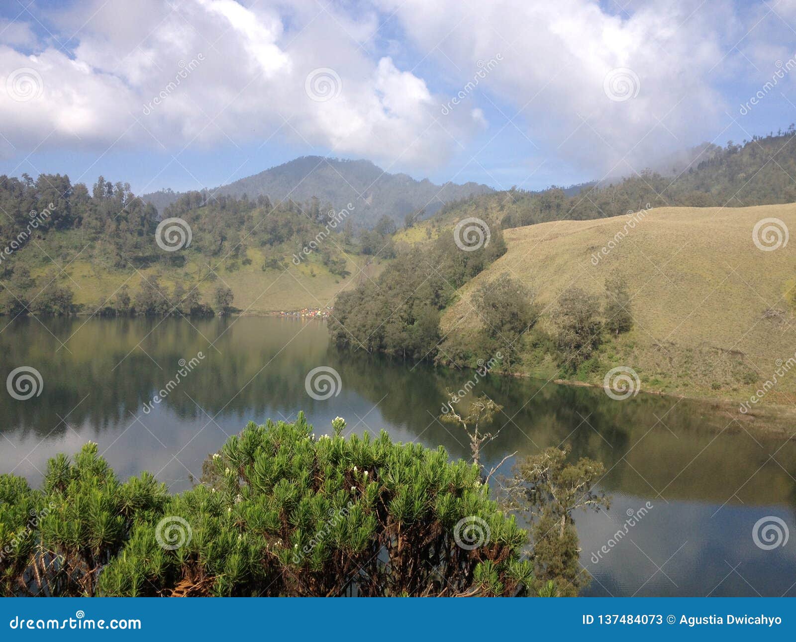 Ranu Kumbolo stock image. Image of mountain, kumbolo - 137484073