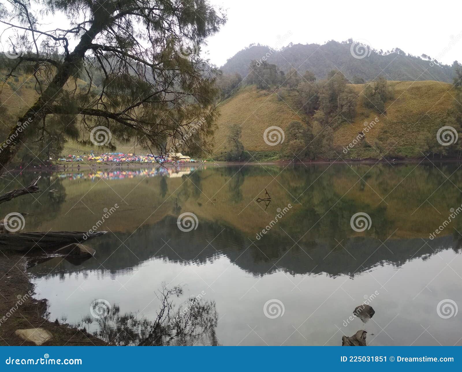 Ranu Kumbolo lake stock image. Image of plant, river - 225031851