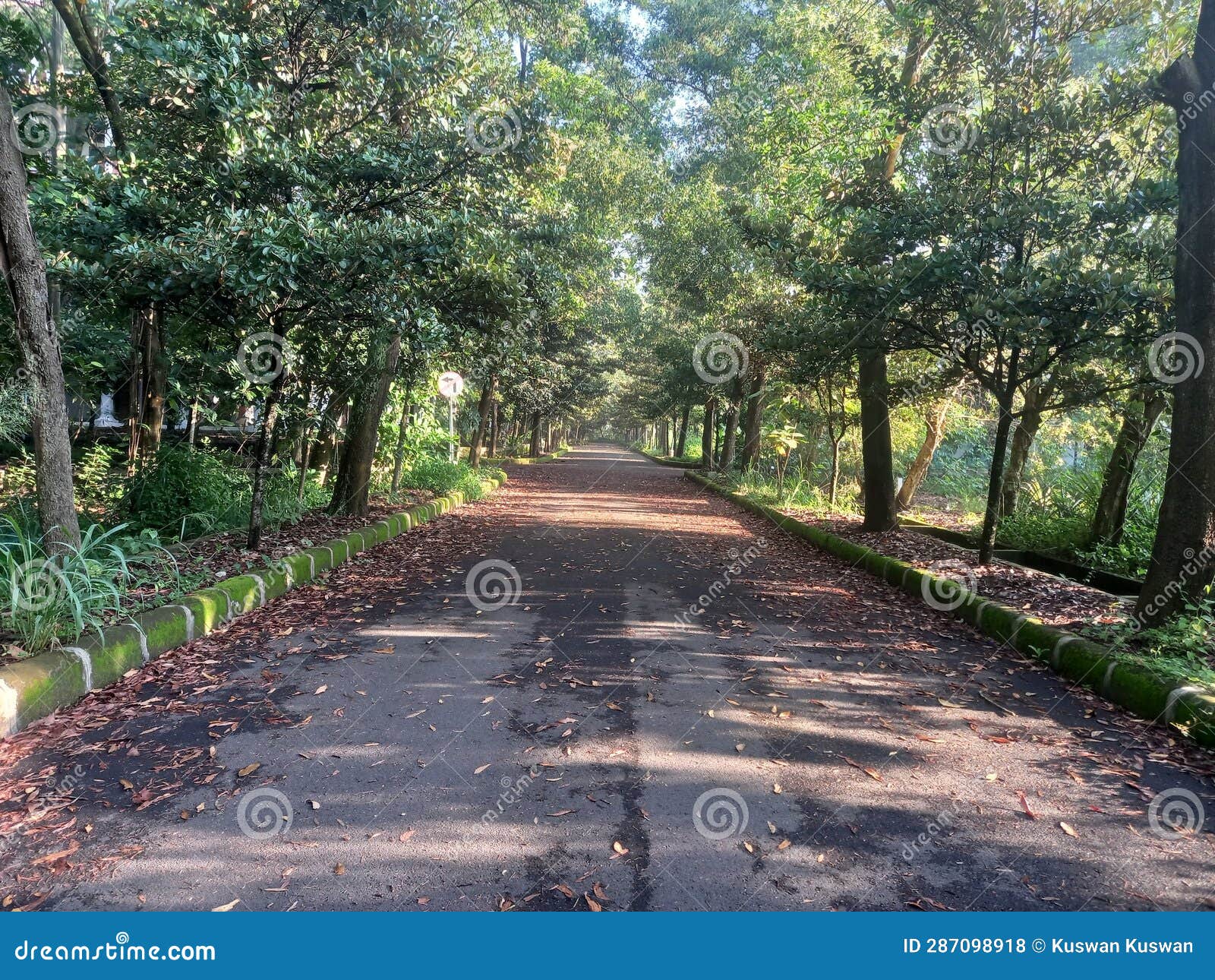 Raod and Tree in Alzaytun Campus Indramayu Stock Photo - Image of ...
