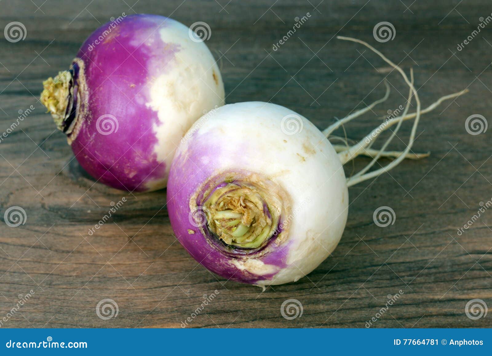 Rapa immagine stock. Immagine di puro, verdura, succulente - 77664781