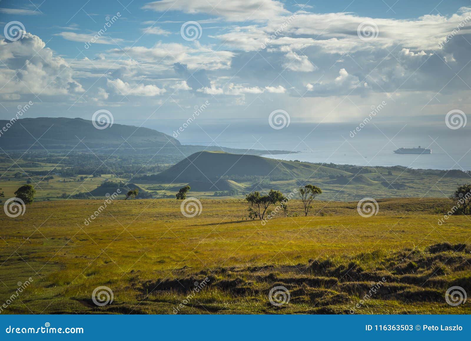 Rapa Nui Moai Statues Easter Island Stock Image - Image of isolated ...